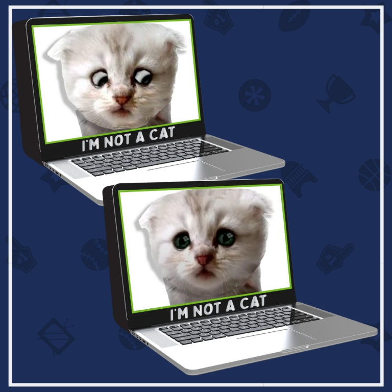 “I’m Not a Cat” Meme Bobbleheads Unveiled – National Bobblehead Hall of ...