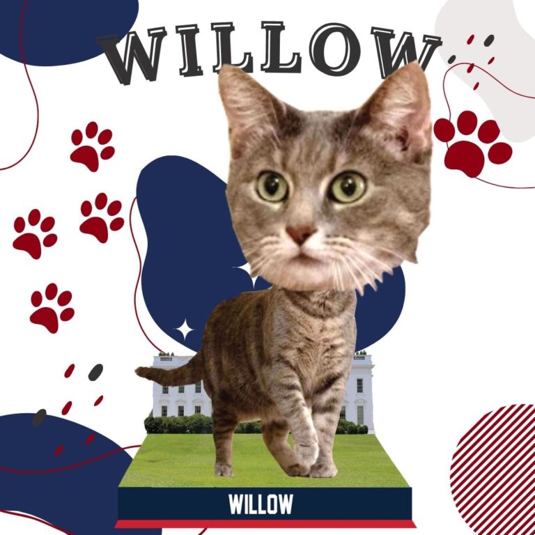 Willow First Cat White House Bobblehead Unveiled – National Bobblehead ...